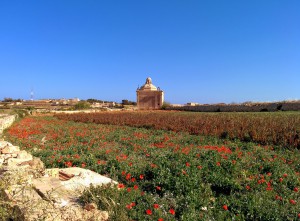 Zonqor (Żonqor), Marsaskala, Malta, MT
